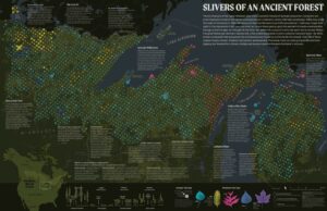 Jake_Steinberg_awardmap - MadGeogNews