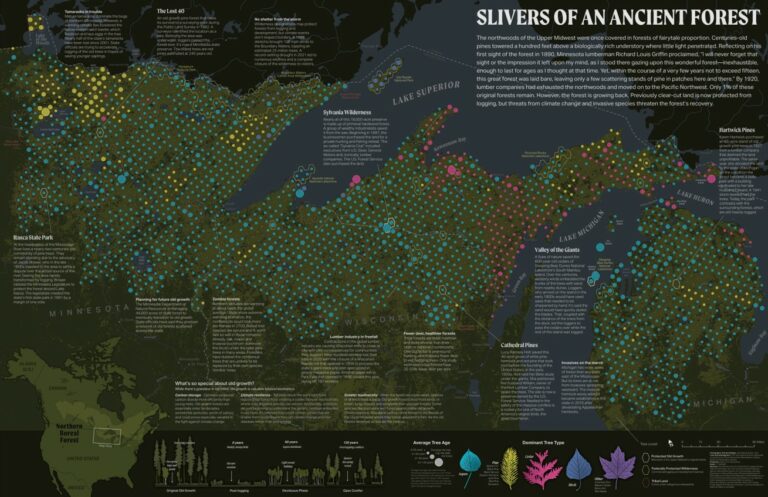Highlights from Geography's 2022 Graduation Celebration - MadGeogNews