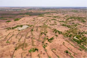 The Great Green Wall of Sub-Saharan Africa - MadGeogNews