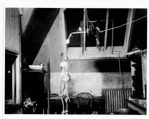 skeleton – Department of Geography – UW–Madison